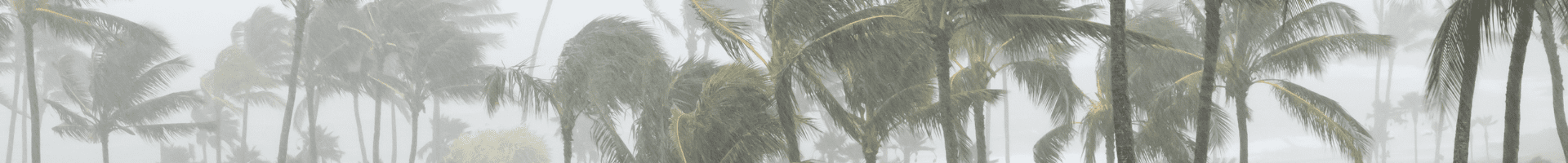 Texas Windstorm Insurance for Less from TGS Insurance Agency